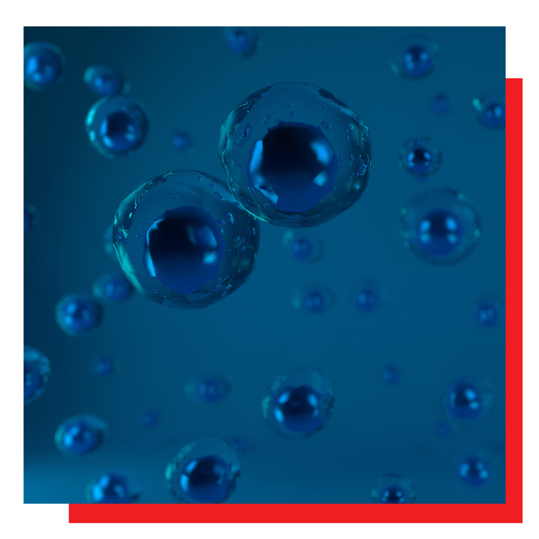 SKIN REJUVENATION & WRINKLING - Cell Tissue Technology