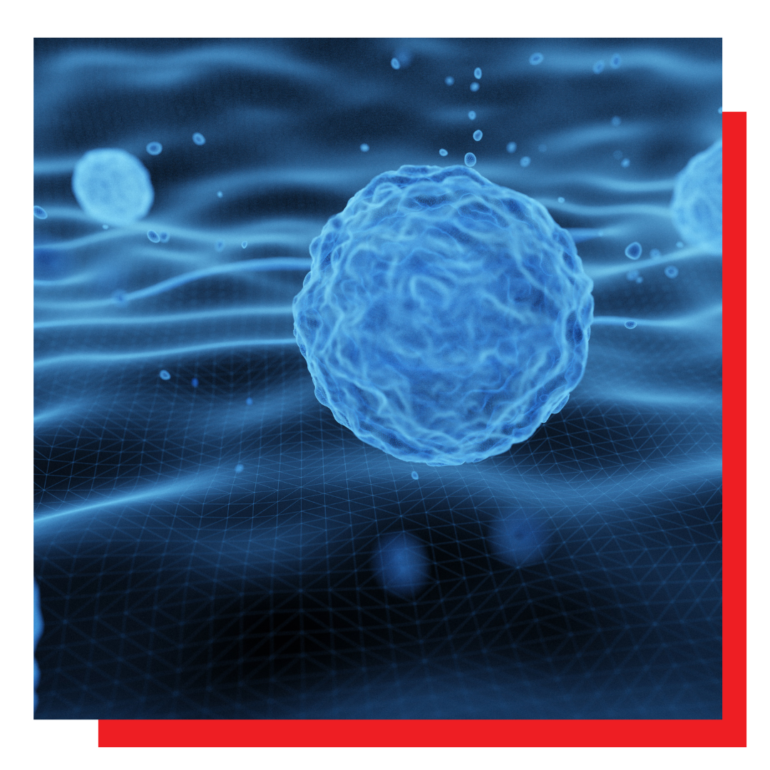 SKIN REJUVENATION & WRINKLING - Cell Tissue Technology