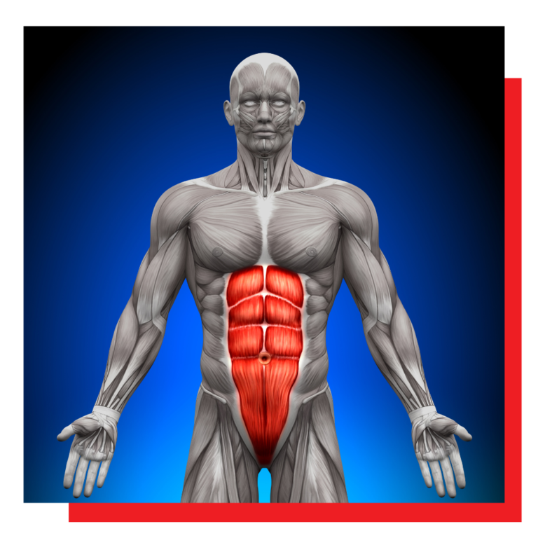MUSCLE WEAKNESS - Cell Tissue Technology