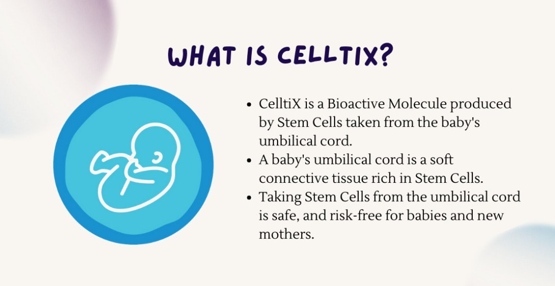 CELLTIX NEBULIZER - Cell Tissue Technology